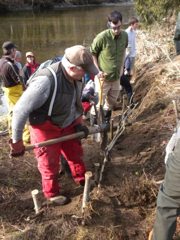 Bioengineering Workshop - Welcome
